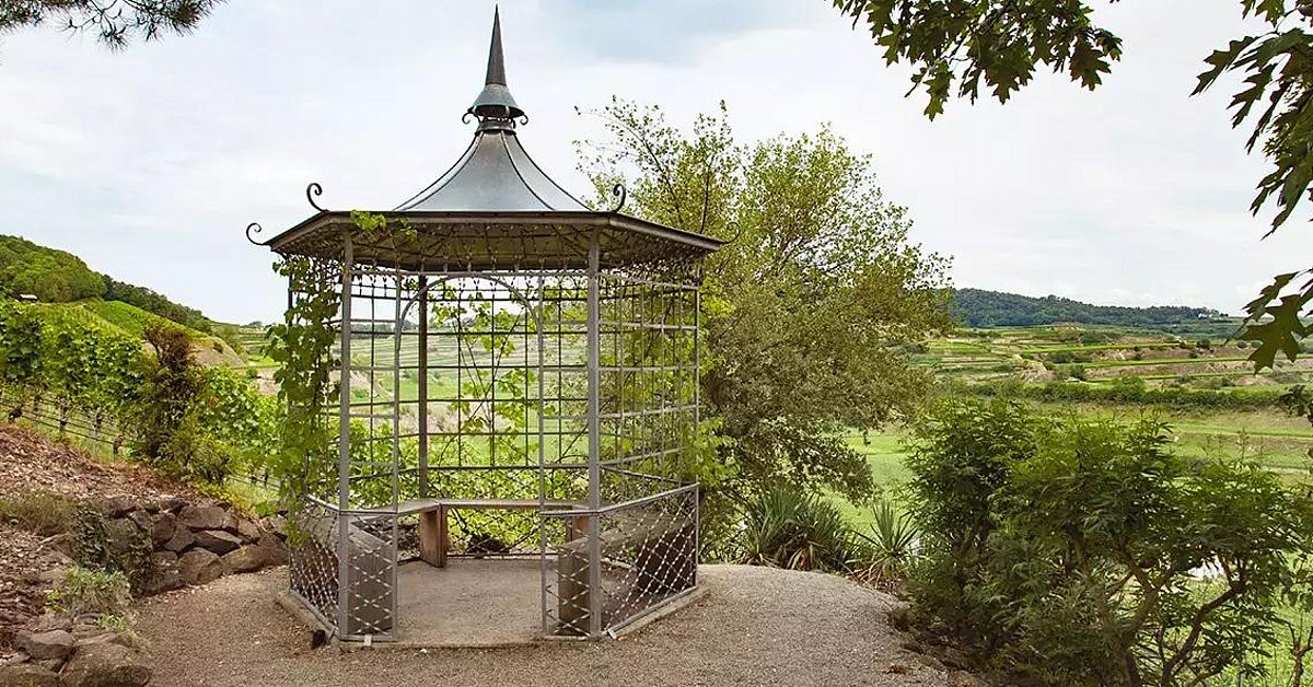 Deutsches Weininstitut: Highlights of German wine culture