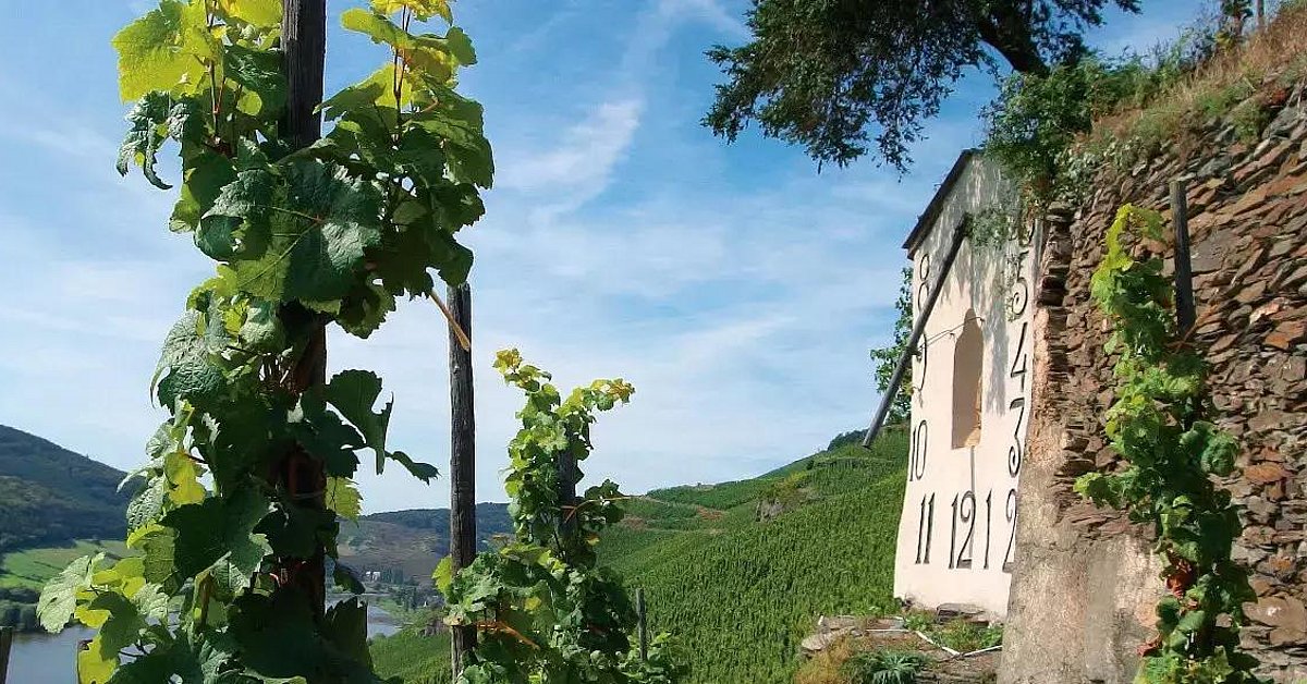 Deutsches Weininstitut: Highlights of German wine culture