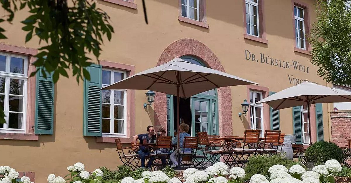 Deutsches Weininstitut: Excellent wine shops